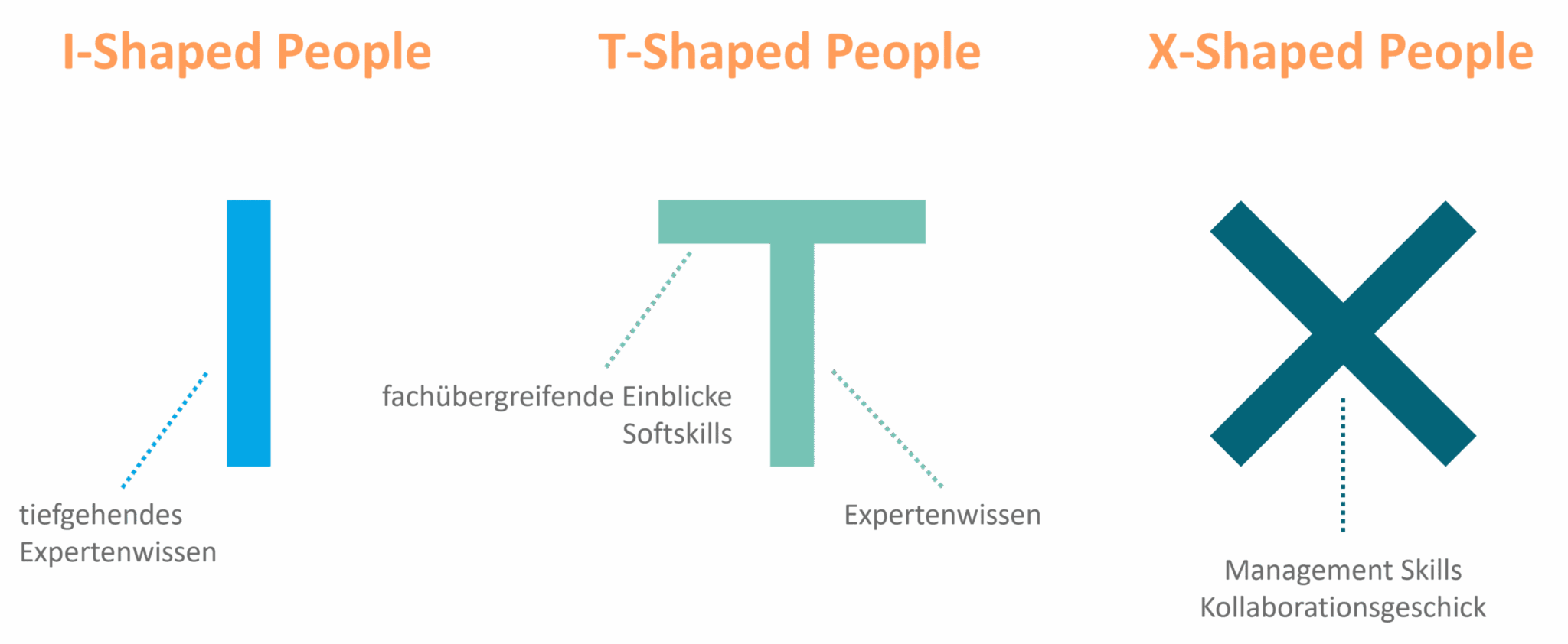 T-Shaped People machen den Unterschied: Agile Teamarbeit mit agilen Köpfen